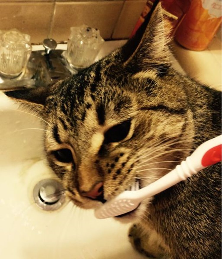 Have a Break (44 Photos) - Badchix Magazine