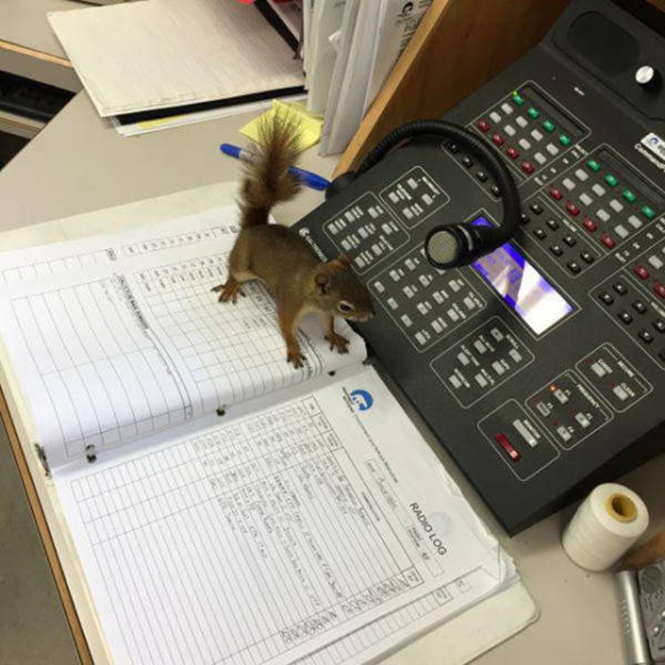 Job Fails (35 Photos) - Badchix Magazine