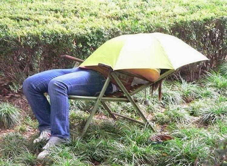 Awkward Sleeping Locations (30 Photos) - Badchix Magazine